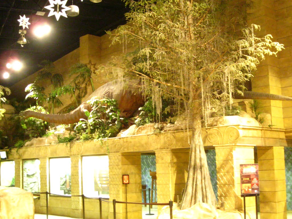 The Creation Museum - The Staddon FamilyThe Staddon Family